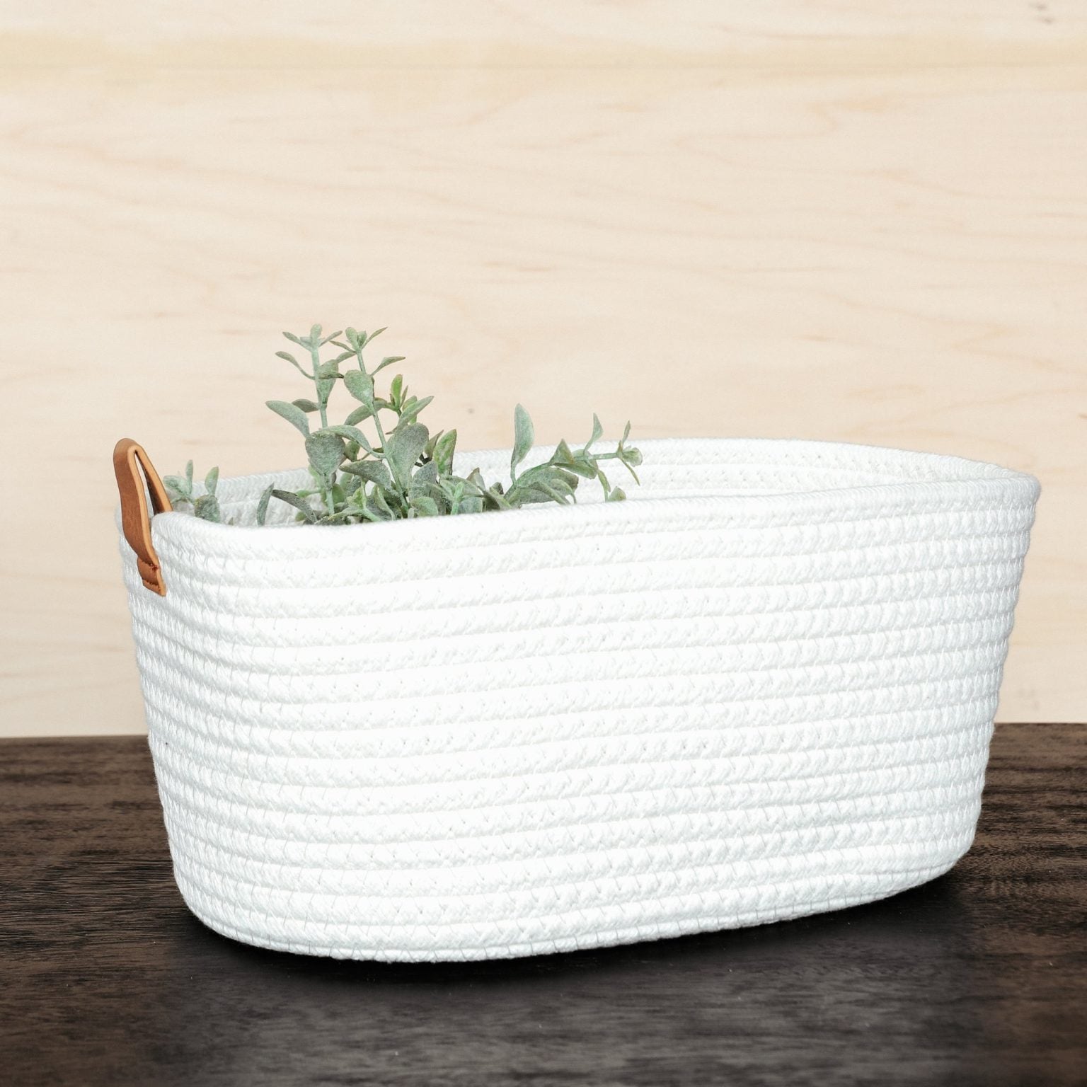 New Arrivals - the olde farmstead